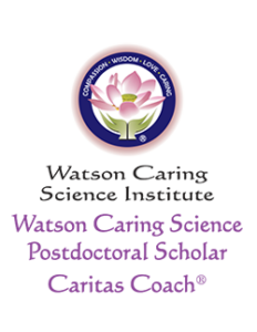 WCSI Brand Standards - Watson Caring Science Institute